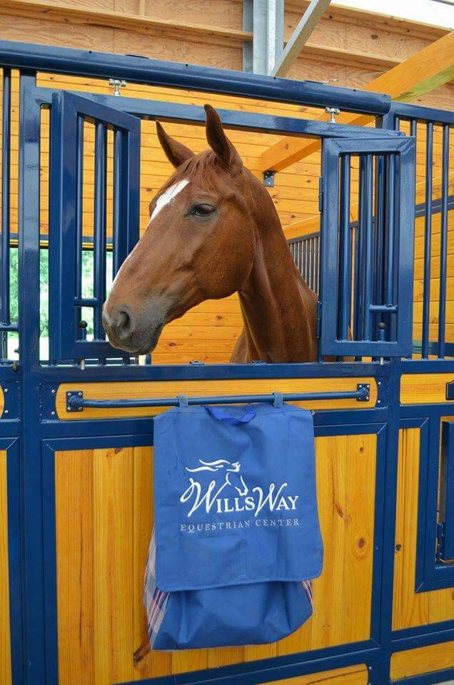 Facility – WillsWay Equestrian Center